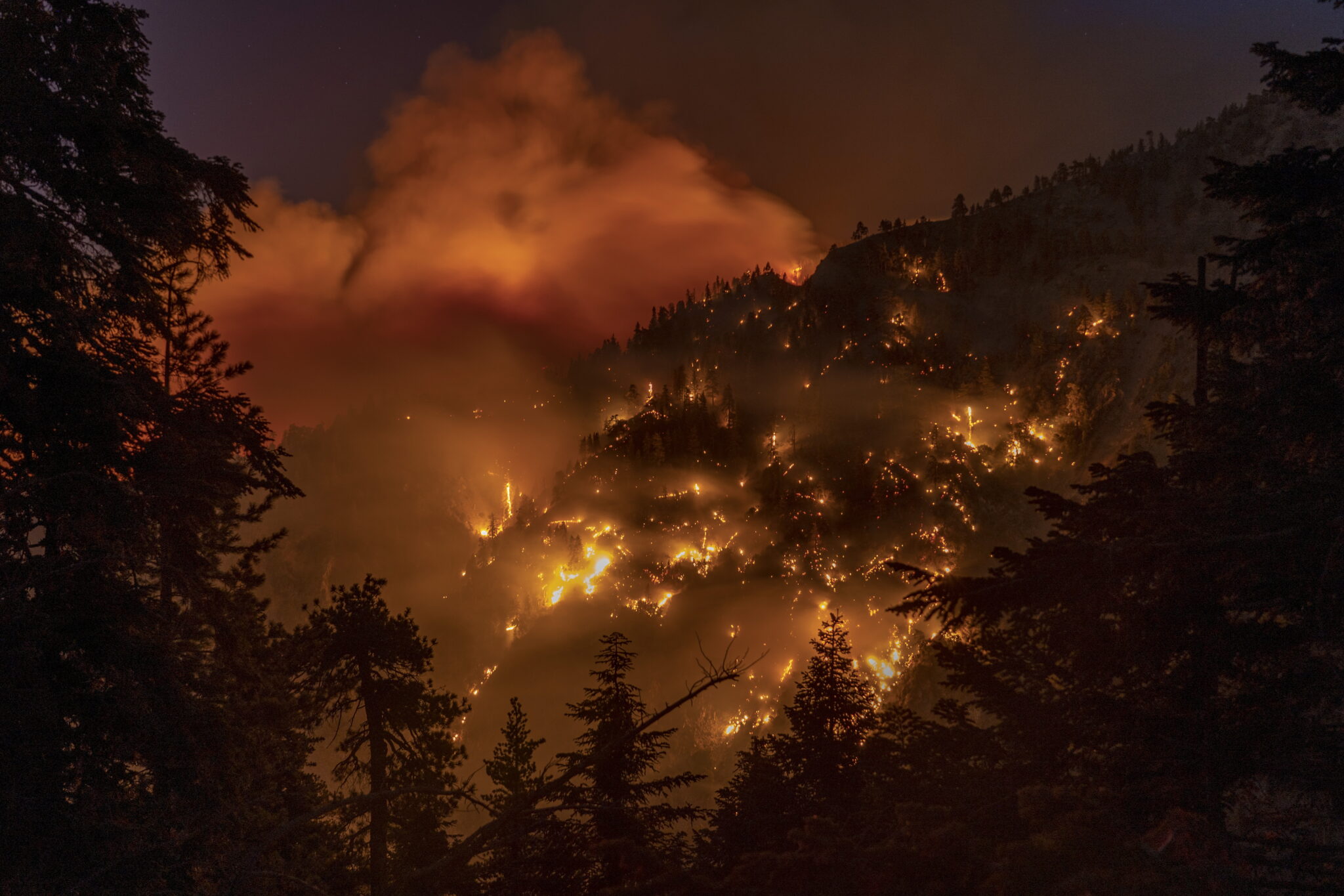Más de 8 mil hectáreas de bosque han sido destruidas por el fuego en ...